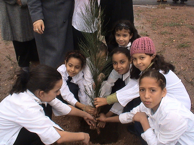 Rabat, Morocco – treeplanting